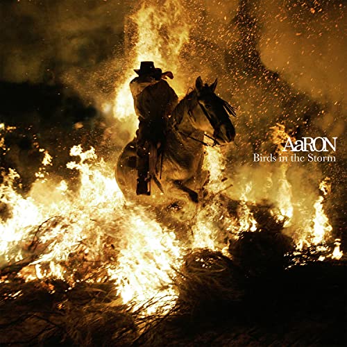 Amazon.com: Birds in the Storm : AaRON: Digital Music