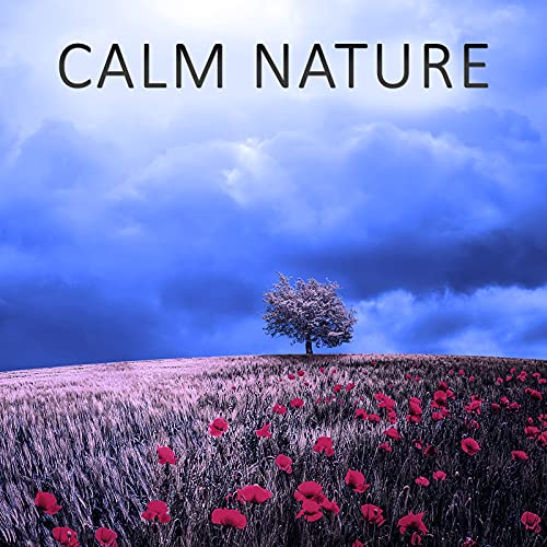 Amazon.com: Calm Nature – Ocean, Sounds of Nature, Relaxation, Birds ...