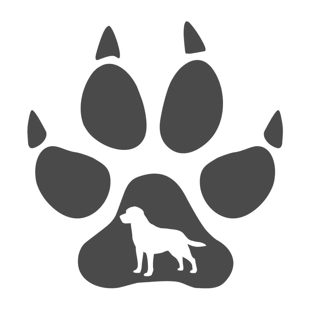 Black Lab Paws