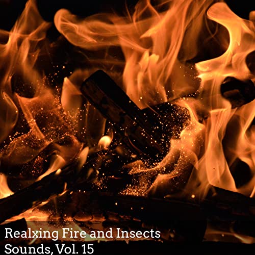 Realxing Fire and Insects Sounds, Vol. 15 by VARIOUS ARTISTS on Prime Music