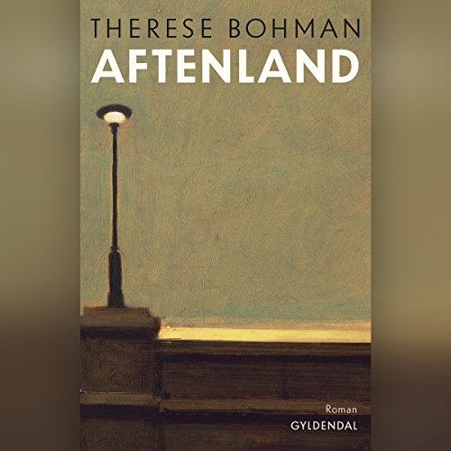 Amazon.com: Aftenland (Audible Audio Edition): Therese Bohman, Randi ...