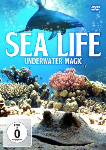 Amazon.com: Sea Life : Special Interest: Movies & TV