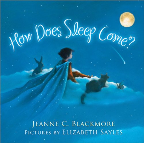 Amazon.com: How Does Sleep Come?: 9781402271052: Blackmore, Jeanne ...