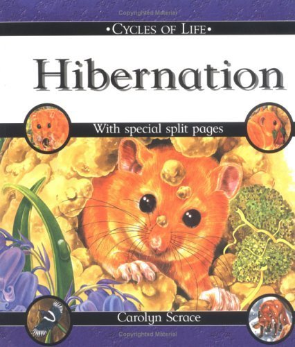 Amazon | Hibernation (Cycles of Life) | Scrace, Carolyn, Salariya ...