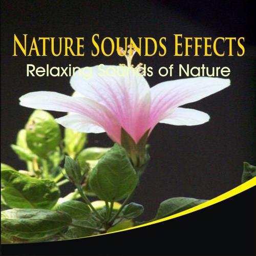 Nature Sounds Effects - Nature Sounds Effects - Amazon.com Music