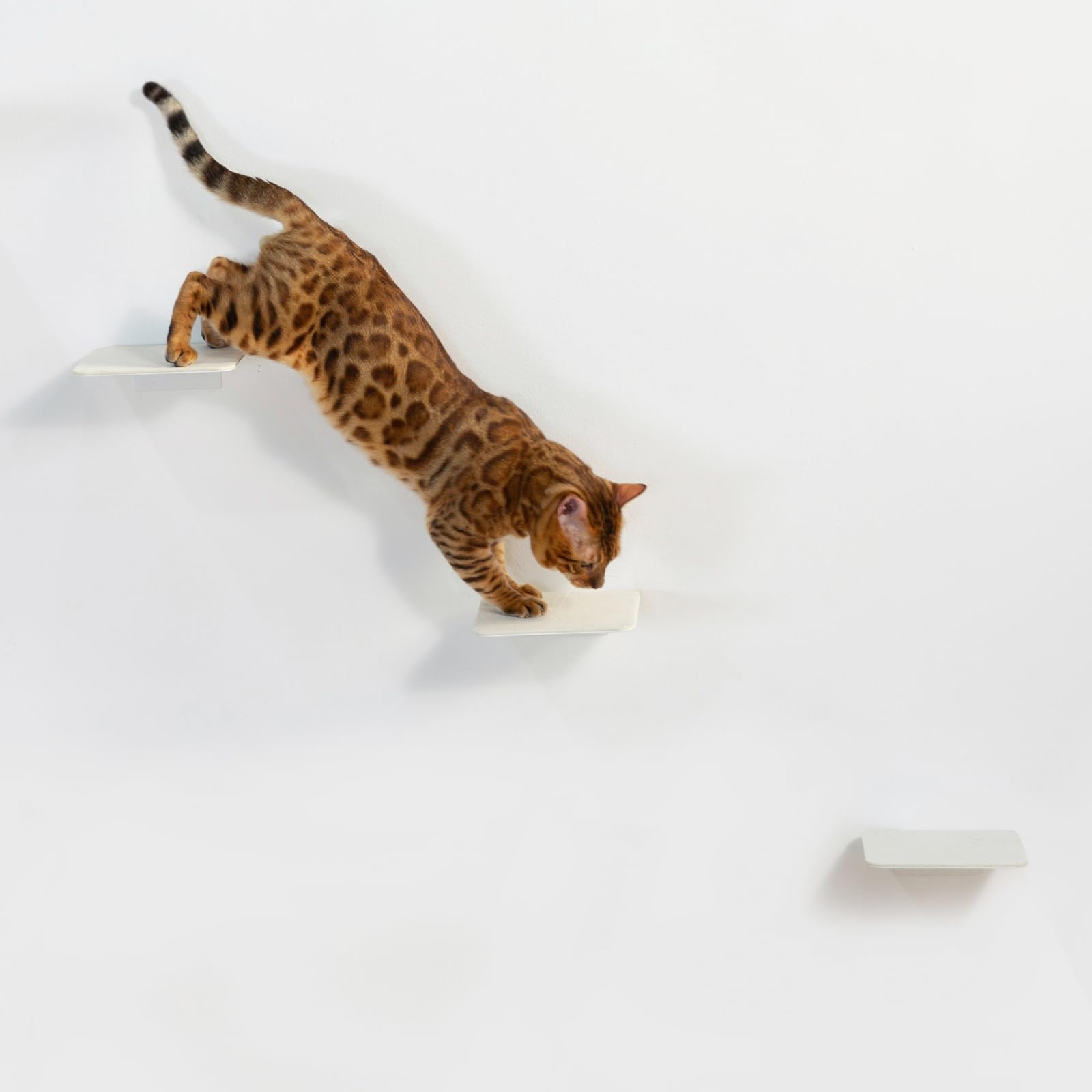 3 Pcs Cat Wall Shelves, Wall-Mounted Cat Wall Step, Cat Wall Shelf Fit ...