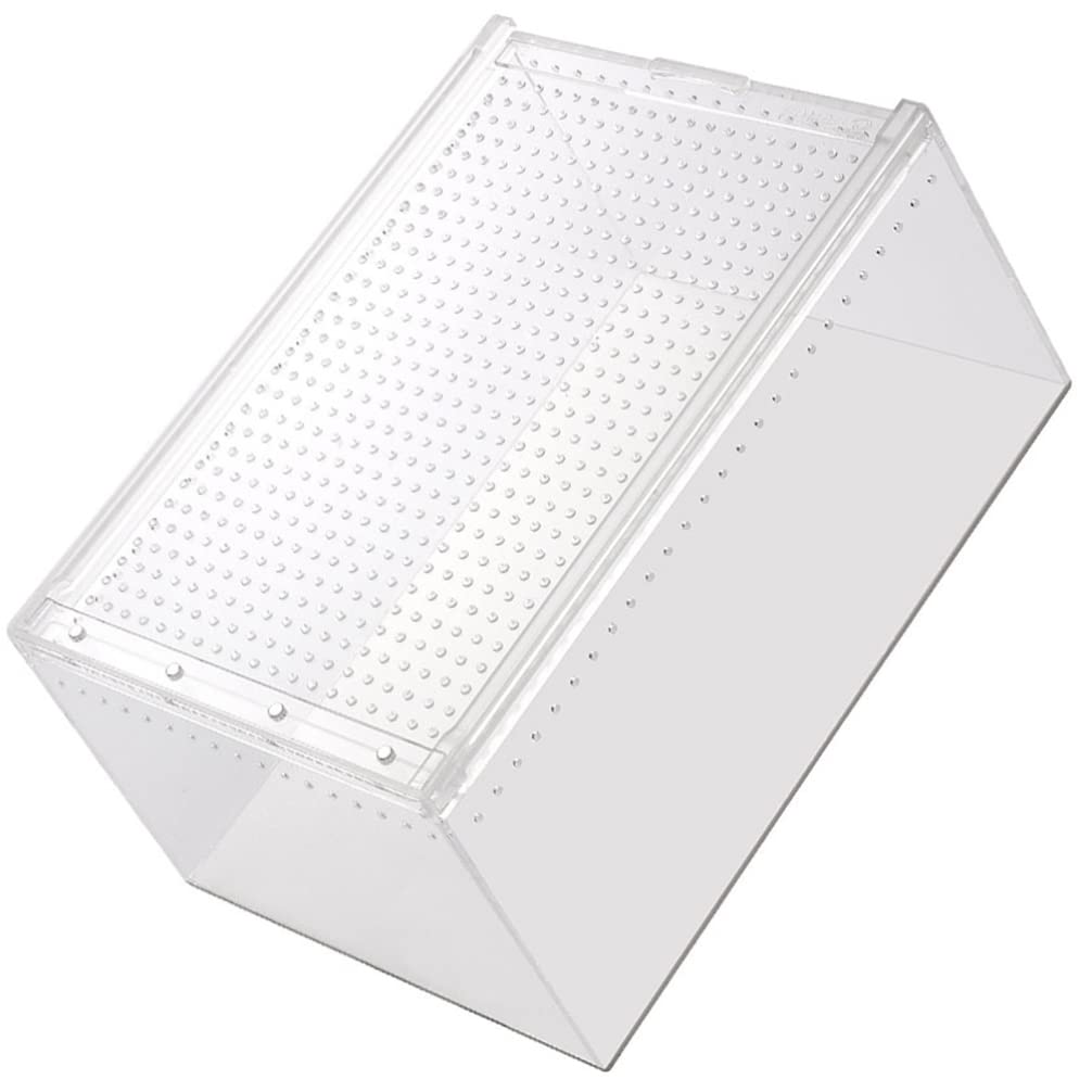 Buy Ipetboom Habitat Breeder Boxes Small Enclosures Spider Incubators ...