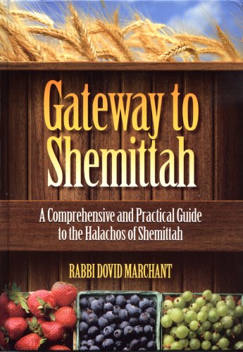 Gateway To Shemittah: Dovid Marchant: 9781583309957: Amazon.com: Books
