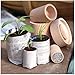 Amazon.com : Burgon & Ball GEC/POTM Paper Pot Maker, Beige, M : Home ...