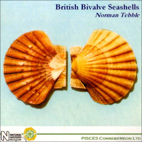 Amazon | British Bivalve Seashells: A Handbook for Identification ...
