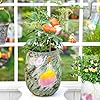 Amazon.com: Sungmor 10.6 Inch Ceramic Succulent Plant Pot with Drainage ...