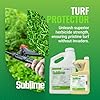 Amazon.com : Albaugh Sublime Weed Killer, Unrivaled Defense Against ...