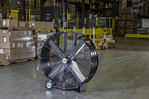 The 12 Best Comfort Zone Shop Fans of 2025 [Verified] - Cherry Picks