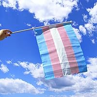 Amazon.com : Anley Transgender Mini Flag 12 Pack - Hand Held Small ...