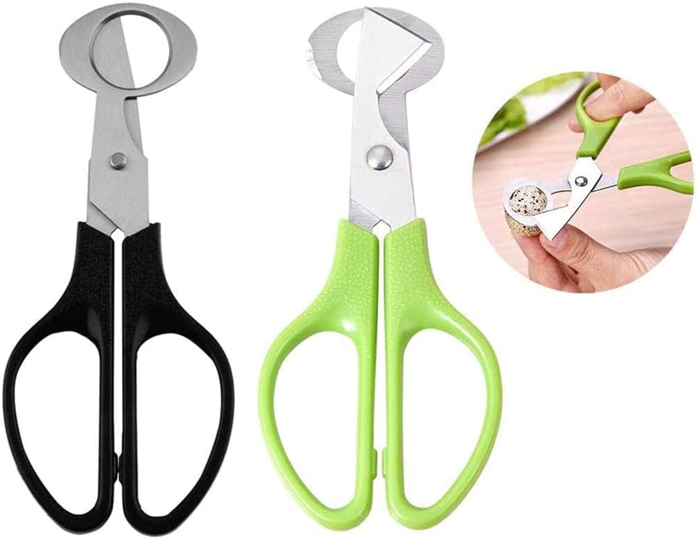 Quail Egg Scissors,(2PCS) Bird Pigeon Egg Cutter Opener Stainless Steel ...