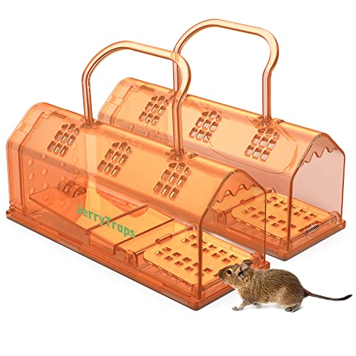 Top 10 Best No Kill Mouse Trap : Reviews & Buying Guide - Katynel