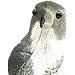 Amazon.com : YOFIT Bird Scarecrow Fake Horned Hawk Decoy,Bird Repellent ...