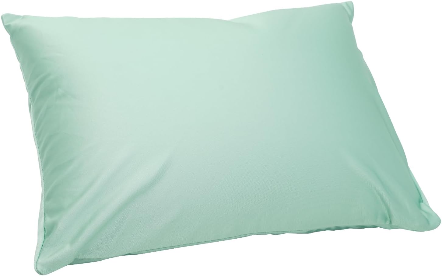 Amazon.com: Focustree Microbead Throw Pillow with Removable Cover Bed ...