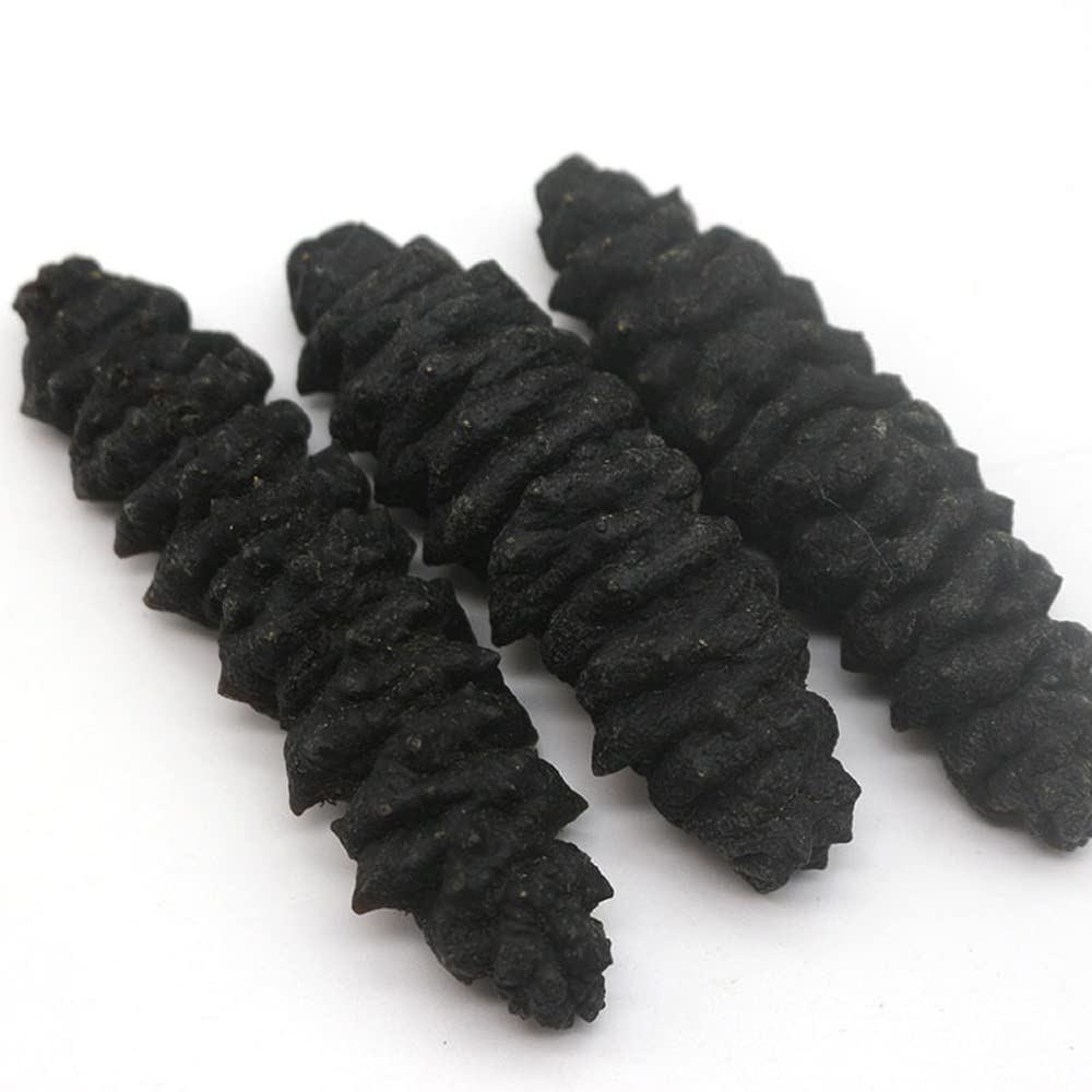 Amazon.com: Natural Sun Dried Sea Cucumber Trepang,Sea Pumpkin Grade ...