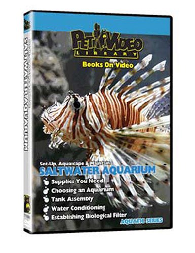 Amazon.com: SALTWATER FISH AQUARIUM DVD! Set-up, Aquascape ...