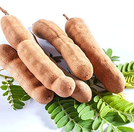 Cloud Farm Live Tamarind Thai Sweet Variety Imli Fruit Grafted Live ...