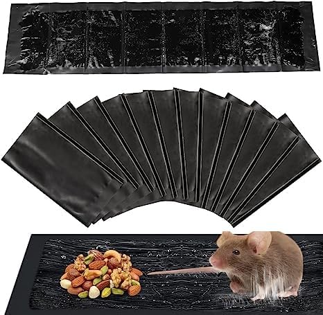 Amazon.com : Sticky Mouse Trap Sticky Rat Traps Indoor for Home Rat ...