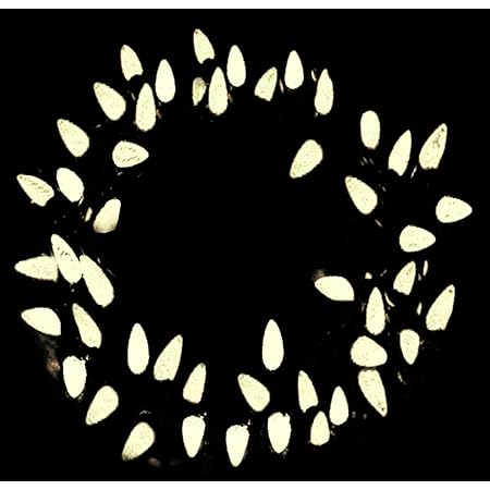 Amazon.com: ASENEK Battery Operated String Lights - 18ft 50 LED C3 ...