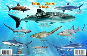 Palau Sharks & Rays Guide Franko Maps Laminated Fish Card | Amazon.com.br
