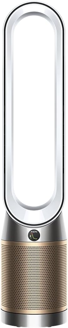 Amazon.com: Dyson HEPA Big+Quiet Formaldehyde BP06 Large : Home & Kitchen