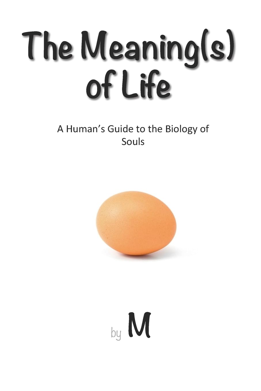 Book review of The Meaning(s) of Life - Readers' Favorite: Book Reviews ...