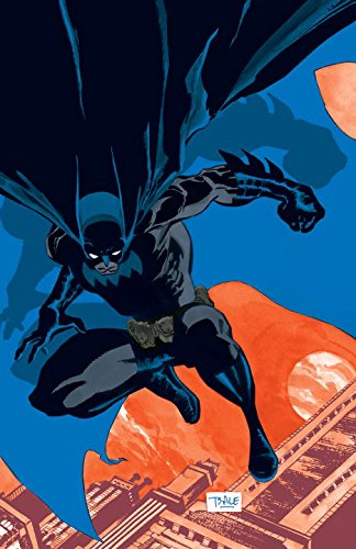 Batman: Haunted Knight : Loeb, Jeph, Sale, Tim: Amazon.in: Books