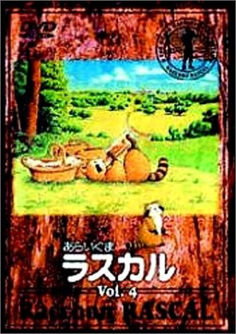 Amazon.com: Raccoon Rascal (4) [DVD] : Movies & TV