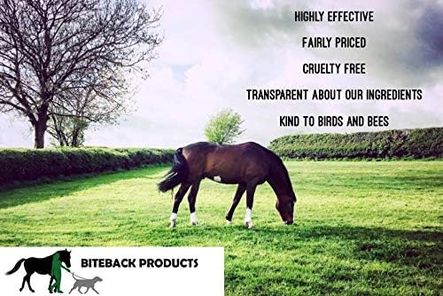 Biteback Products ‘SuperFly’™ Ultimate Insect Repellent Gel 250ml ...