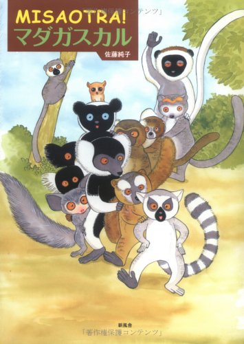 Amazon.com: MISAOTRA!マダガスカル: 9784797435474: Zyunko Satou: Books