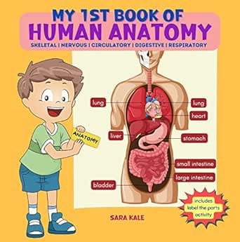 My 1st Book of Human Anatomy : Discovering the Human Body Systems ...