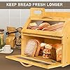 Amazon.com: DORPU Extra Large Bread Box, Double Layer Bread Box for ...