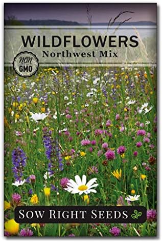 Amazon.com : Sow Right Seeds - Wildflowers Seeds Mix for Planting in ...