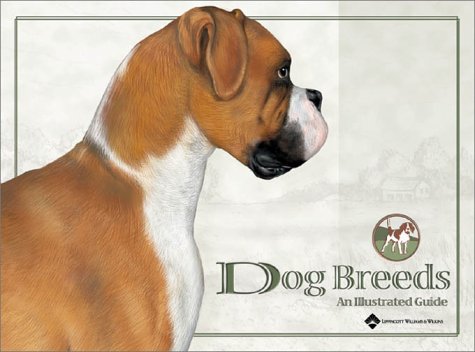 Dog Breeds Illustrated Guide