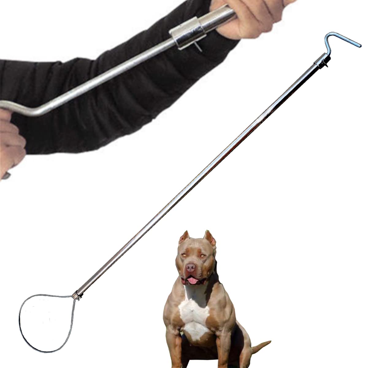 Catch Pole for Dogs Animal Control Tool Capture Noose Stainless Steel ...