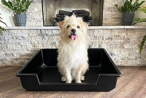10 Best Litter Box For Dogs