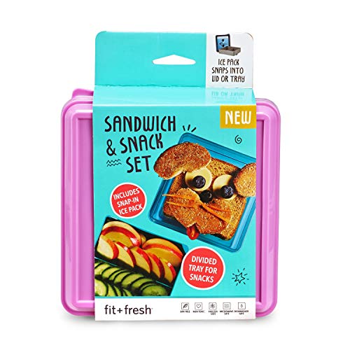 The 17 Best Fit & Fresh Lunch Boxes of 2024 [Verified] - Cherry Picks