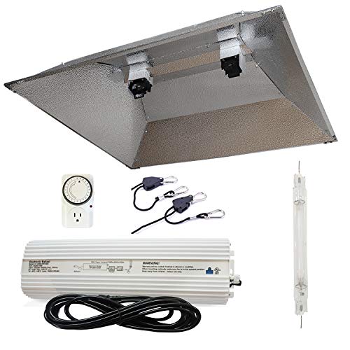 HID Grow Lights - A Buyer's Guide - Evergreen Seeds