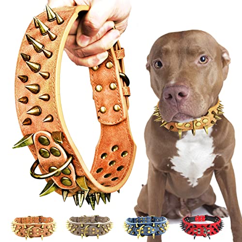 Pitbull Spike Collar Guide: Top 6 Picks, Styles, and Benefits - 2023