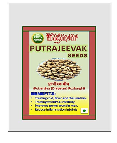 YUGANTAR PUTRAJEEVAK BEEJ - JIYA POTA SEEDS - PUTRA JIVAK BEEJ - PUTRA ...