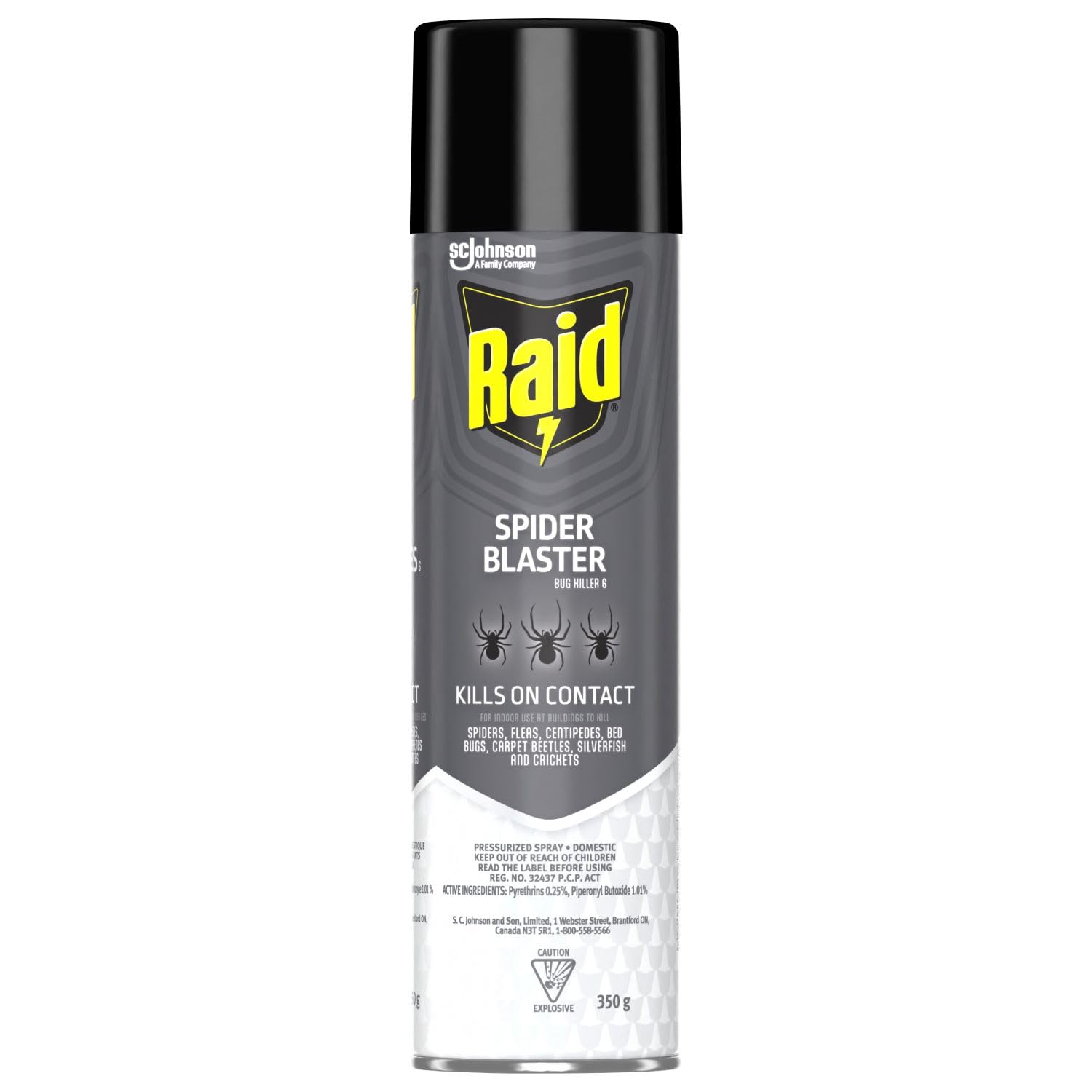 Raid Spider Blaster Killer, Kills Listed Bugs on Contact, For Indoor ...