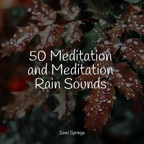 50 Meditation and Meditation Rain Sounds di Pacific Rim Nature Sounds ...