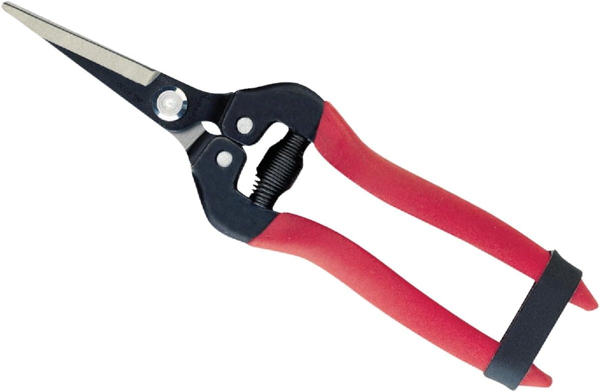 Amazon.com : Corona BP 6250 Forged Steel Aluminum Handles Bypass Hand ...