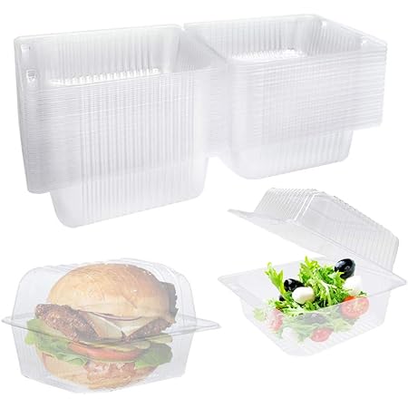 Amazon.com: Clear Hinged Plastic Containers with Lids,50PC Square ...
