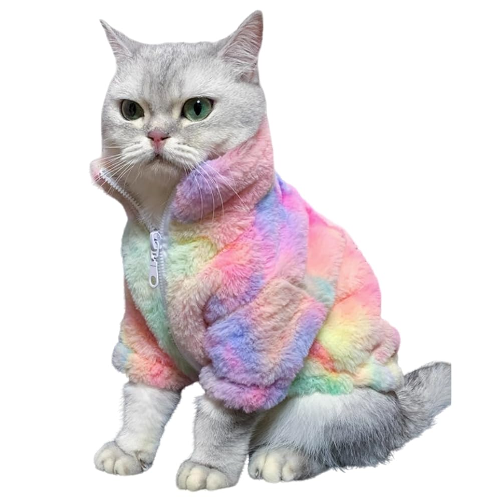 Dyed Cats For Halloween