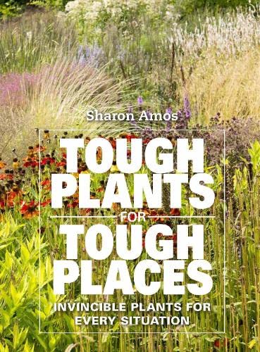 Tough Plants for Tough Places: Invincible Plants for Every Situation ...